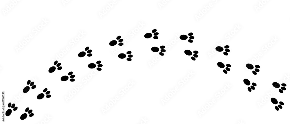 Rabbit footprints. Traces of footsteps of a running or walking hare ...