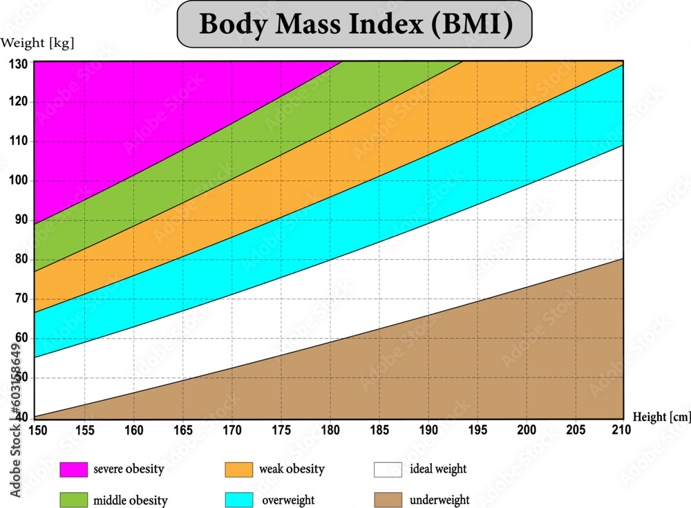 vector illustration of Body mass index (BMI) chart Stock Vector | Adobe ...
