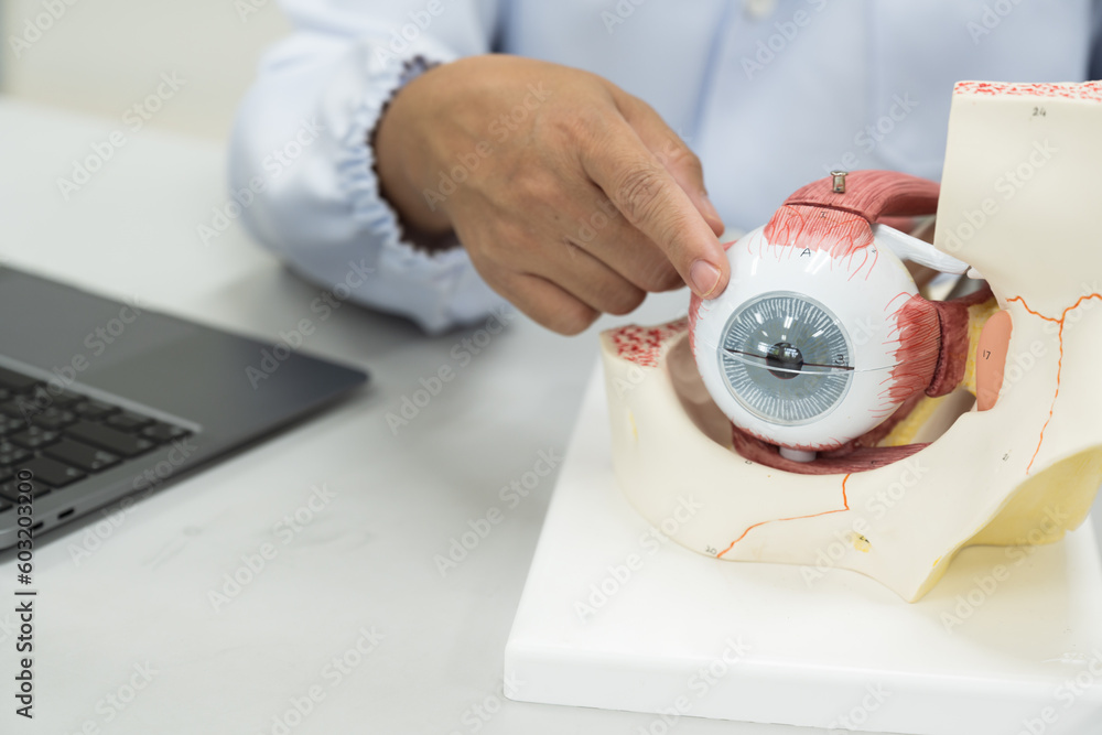 Ophthalmologist explain patient with eye anatomy model on white ...