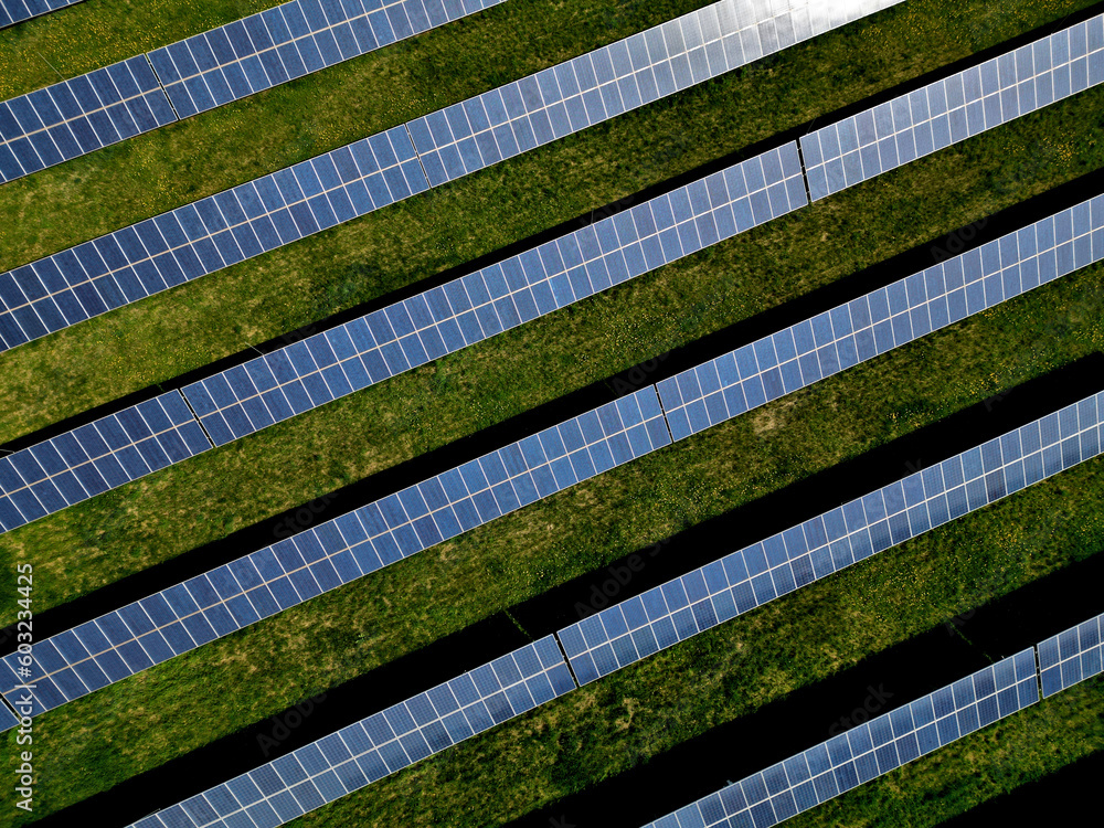 photovoltaic power plant in a rapeseed field. chemical technology crops ...
