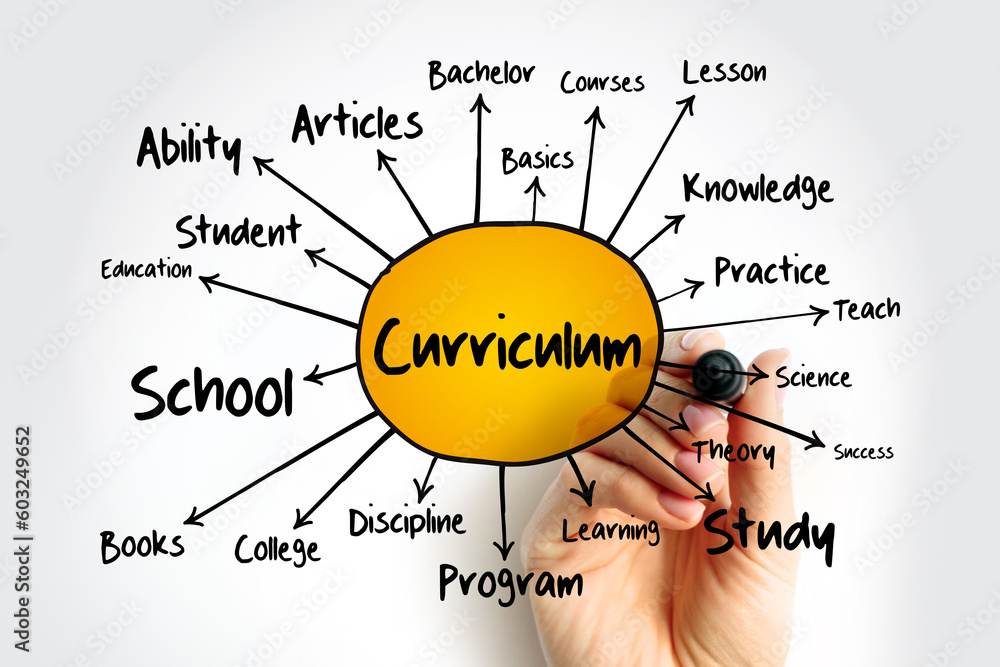 Curriculum mind map, education concept for presentations and reports ...