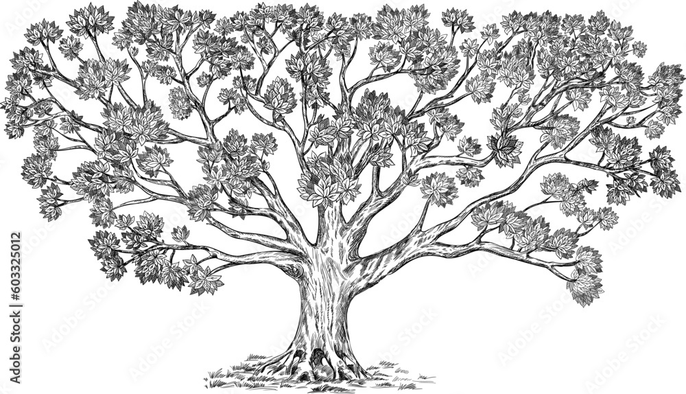 Decorative family tree with many elements. Large detailed hand drawn vector illustration. Usage ...
