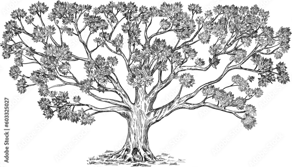 Beautiful family tree with many elements. Large detailed vector ...