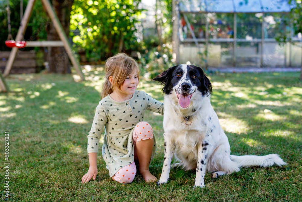 Cute little preschool girl playing with family dog in garden. Happy ...