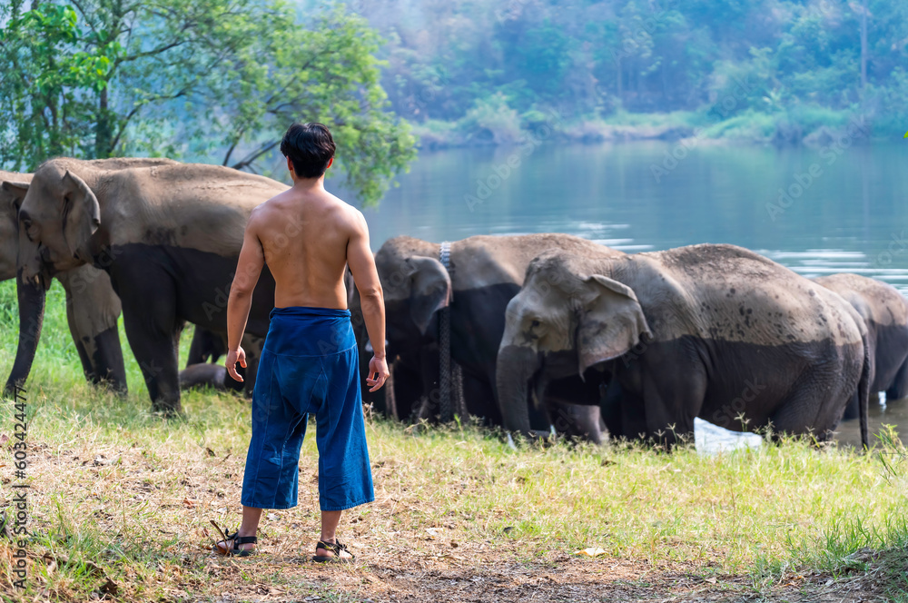 Back view Asian strong young mahout without shirt holding spear weapon ...