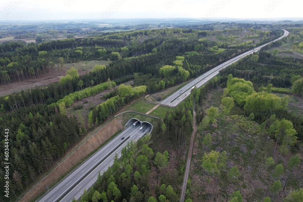 Aerial panorama view of ecoduct or wildlife crossing - vegetation ...
