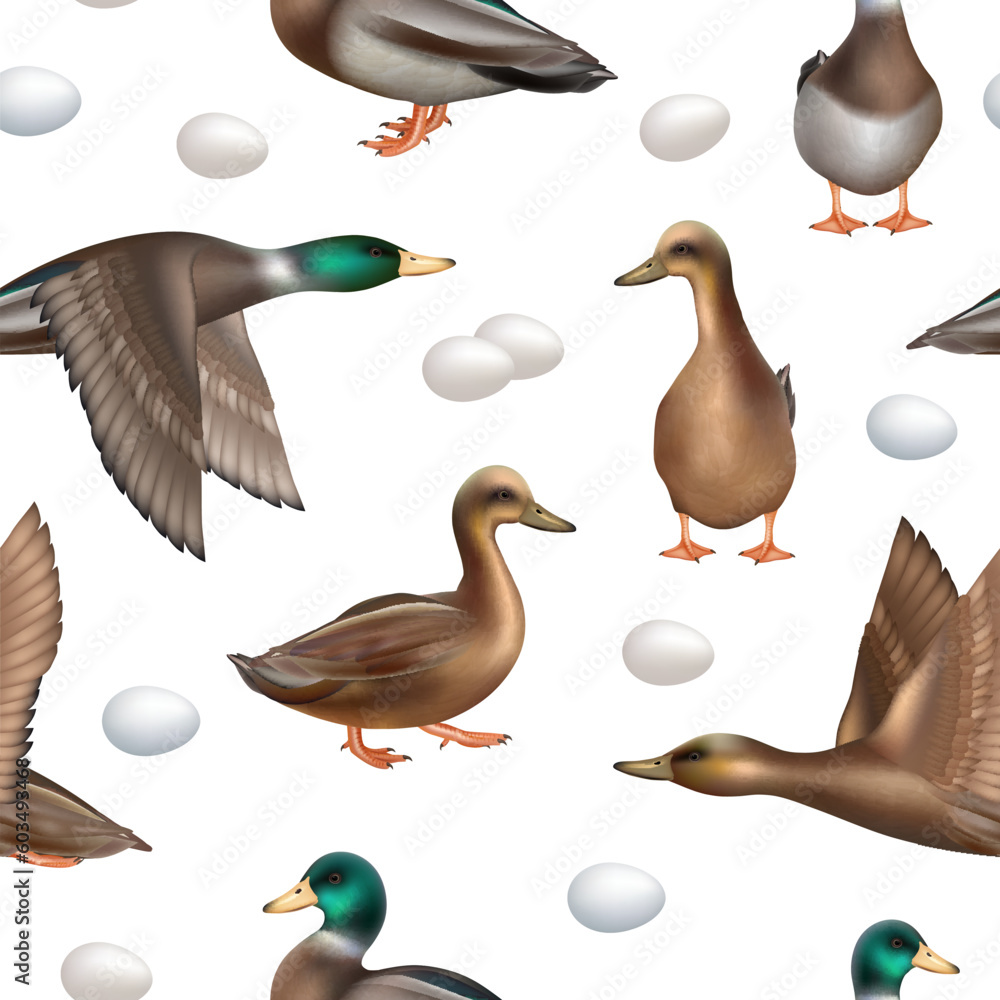 Ducks pattern. Seamless background with wild flying ducks decent vector ...