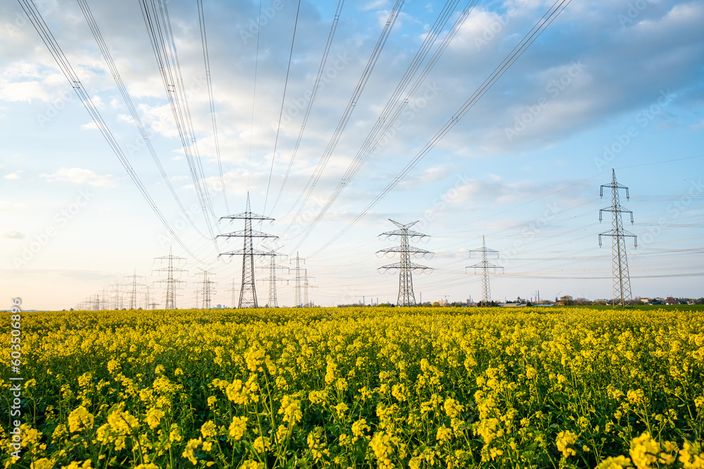 A lot of high-voltage power line, electrical energy transmission tower ...