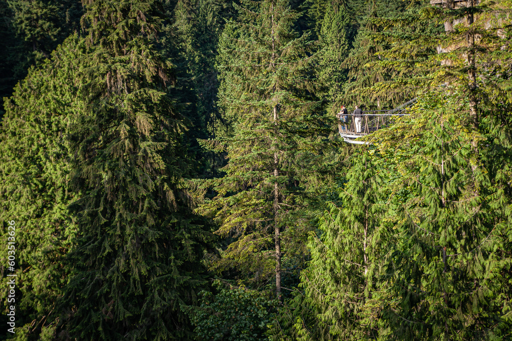 Capilano Bridge, a structure spanning the Capilano River, in the North ...