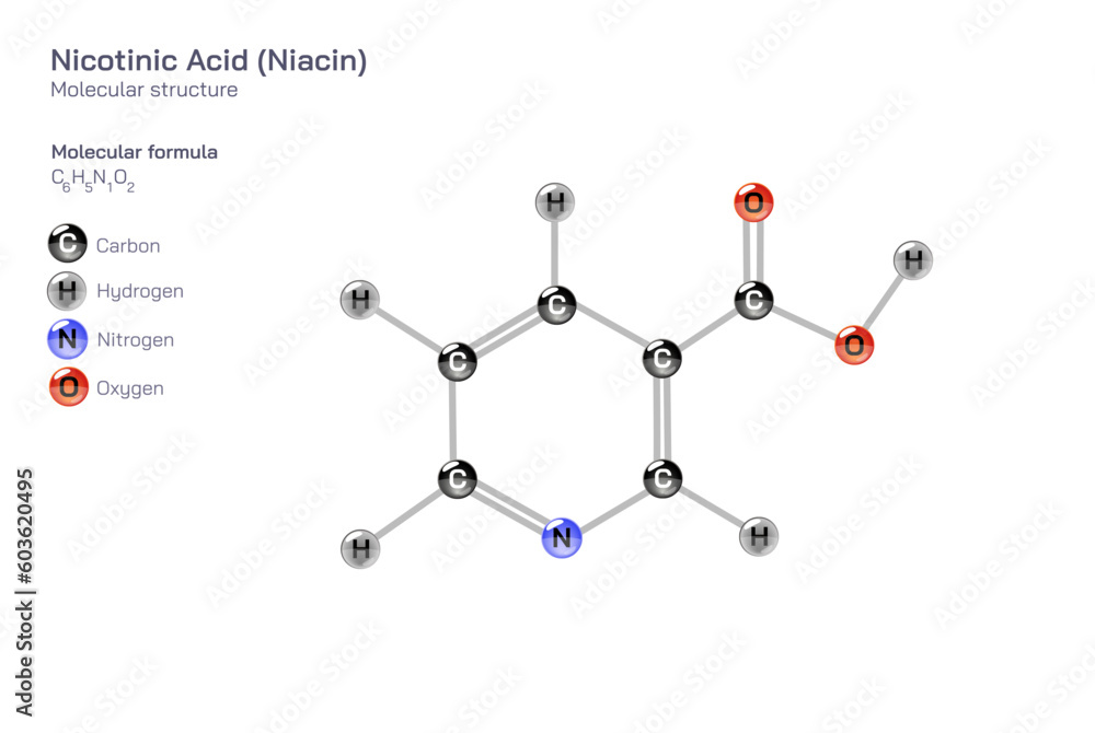 Vetor de Nicotinic Acid molecular structure formula. Niacin structural ...