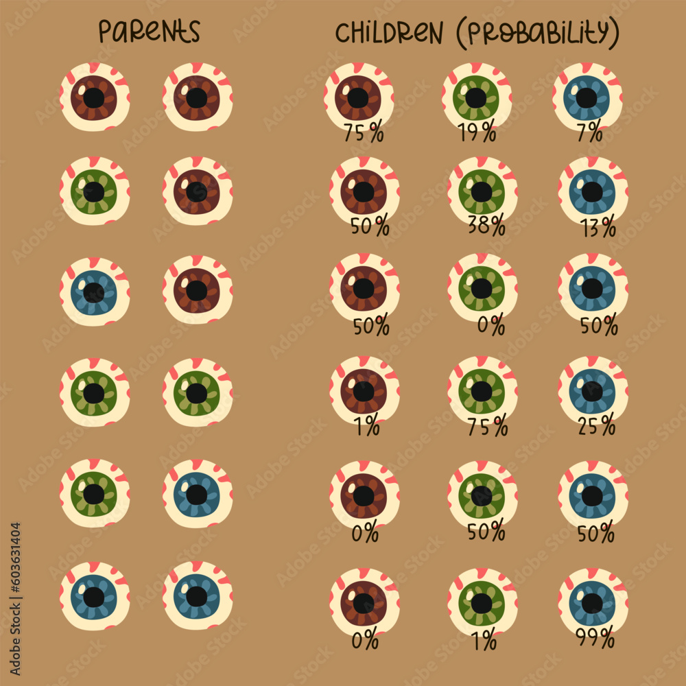 Vector illustration of the system of genetic distribution of eye color ...