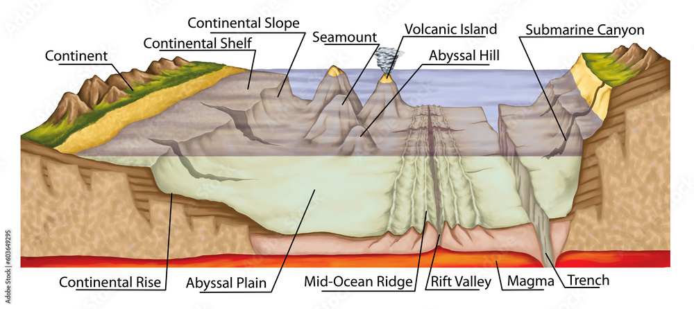 Didactic board of the ocean floor, sea floor, underwater relief, earth ...