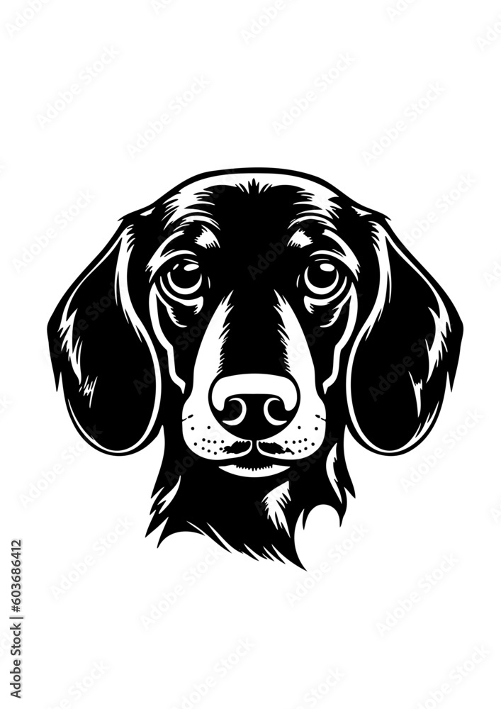 Basic simple Minimalist vector SVG logo graphic of Dachshund head ...