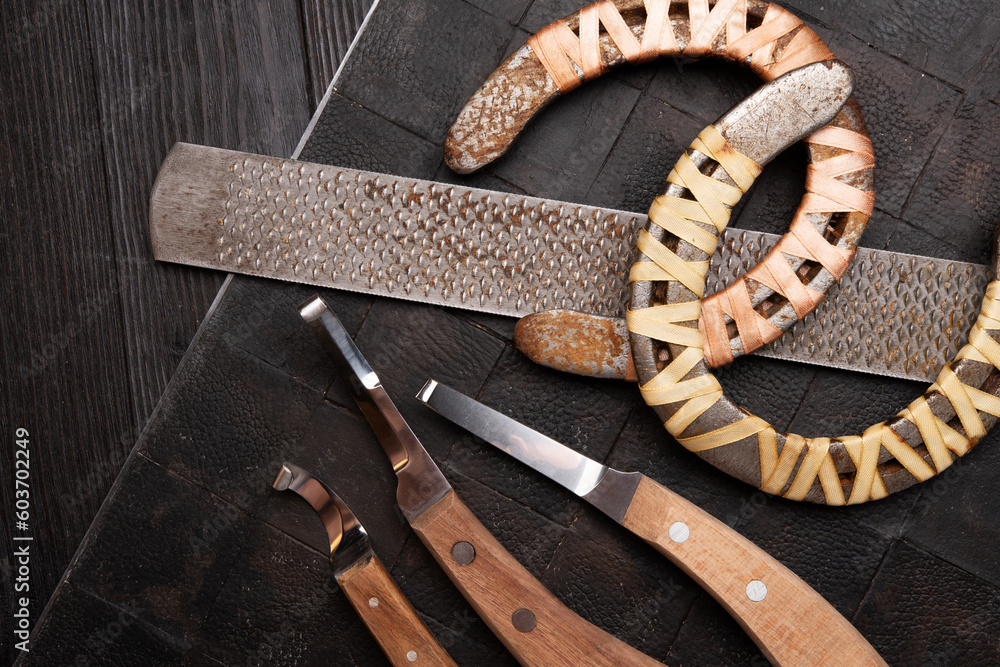 professional hoof knives with rasp for trimming horsy foot and old ...