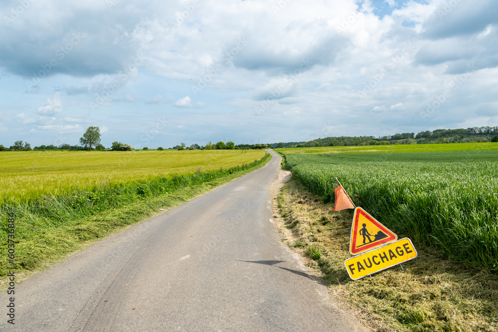 Fauchage d'une route départementale sur une bande de 1,20 mètres ...