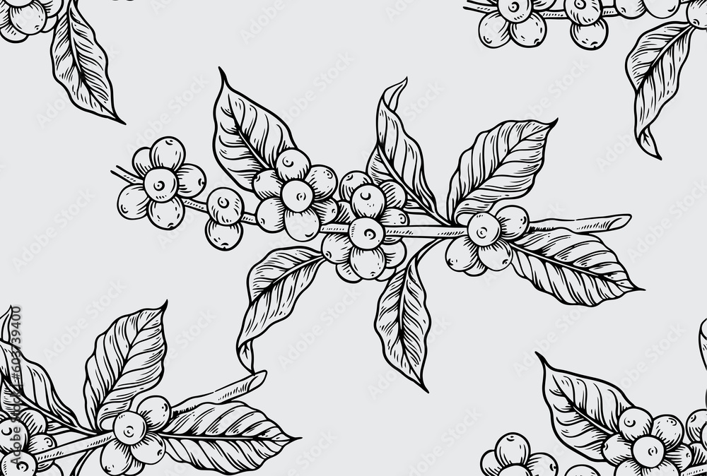 coffee farmer of ink sketch etching for label, packaging, poster ...