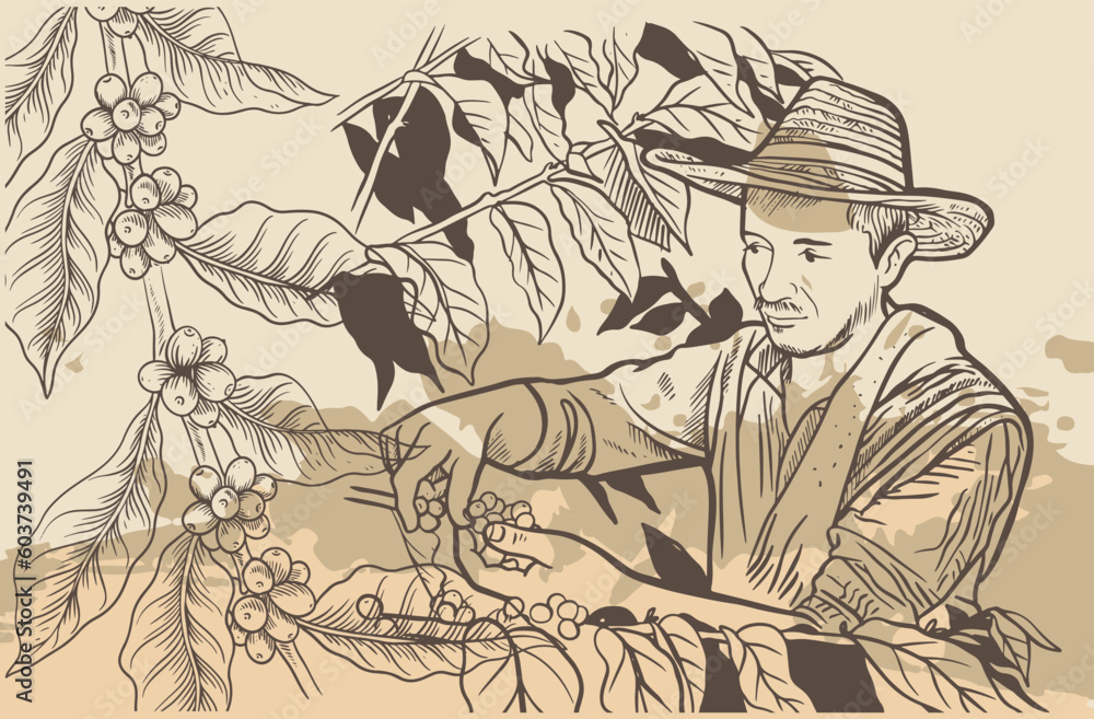 coffee farmer of ink sketch etching for label, packaging, poster ...