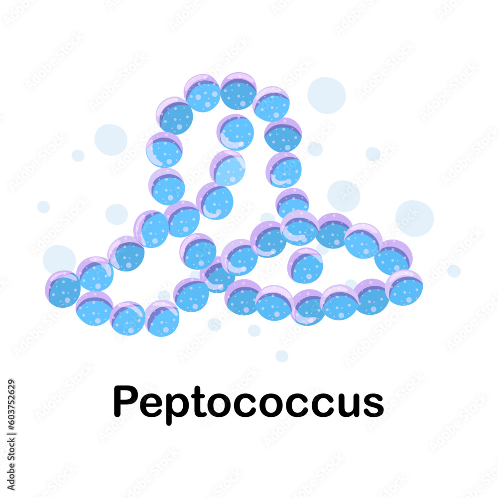 Peptococcus. Microorganisms. Medicine and health. Cartoon. Microbiota ...