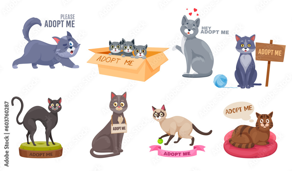 Adopt a cat vector, cute homeless kitty waiting for adoption. Cartoon ...