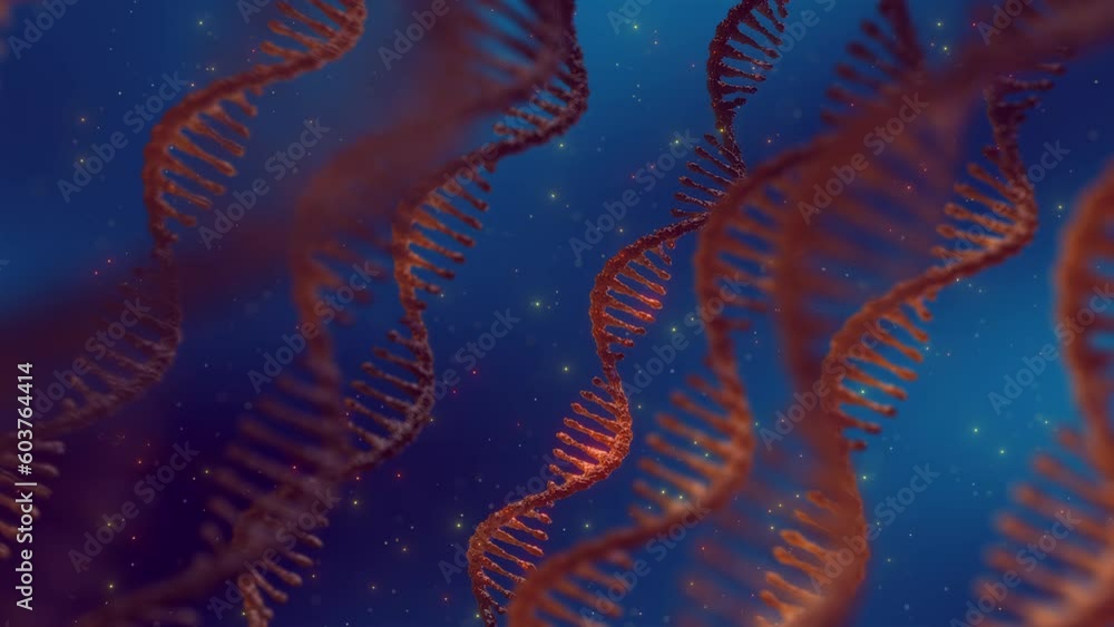 mRNA vaccine research. Animation of single strand ribonucleic acid (RNA ...
