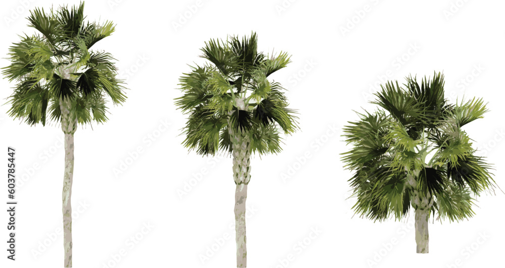 Bold and Beautiful plum Tree, Stunning Greenery, transparent background ...