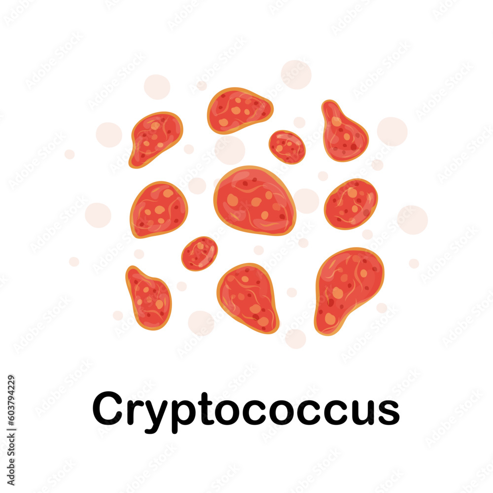 Cryptococcus. Microorganisms. Medicine and health. Cartoon. Microbiota ...