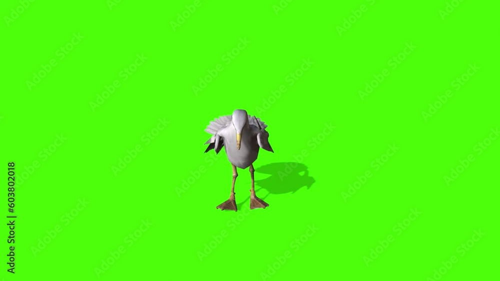 Vidéo Stock seagull is eating with its beak And looking around in fear ...