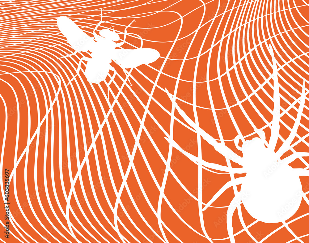 Editable vector illustration of a fly trapped in a spider's web with ...