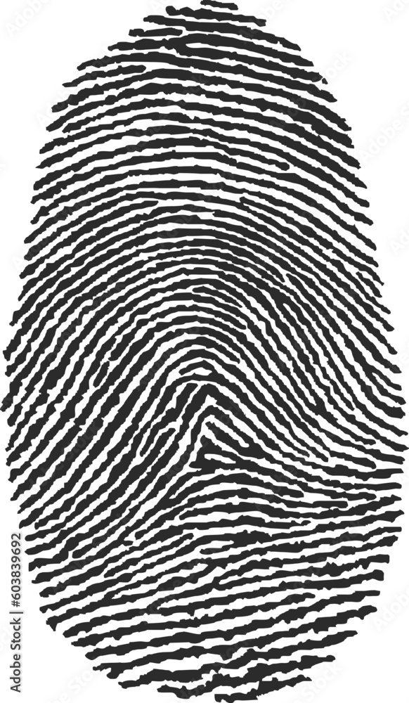 Vector Illustration Of A Fingerprint Stock Vector Adobe Stock