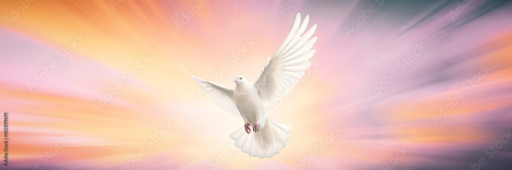 Christian Dove Backgrounds