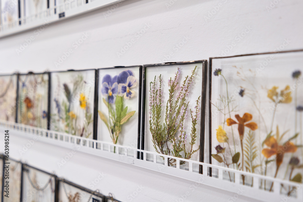 finished works. Master class on creating frame with Herbarium in ...