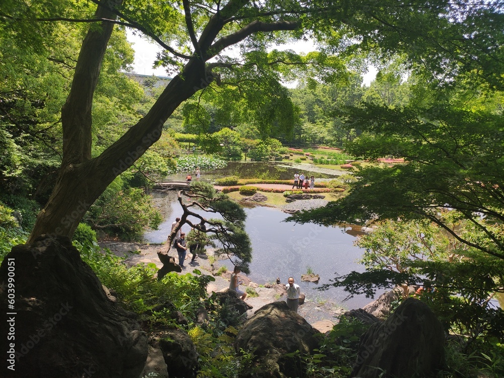 Petit lac magnifique, propre, limpide et brun, réflexion image, avec ...