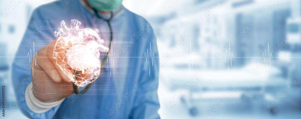 Cardiologist Assesses a Patient's Heart Functions and Blood Vessels ...