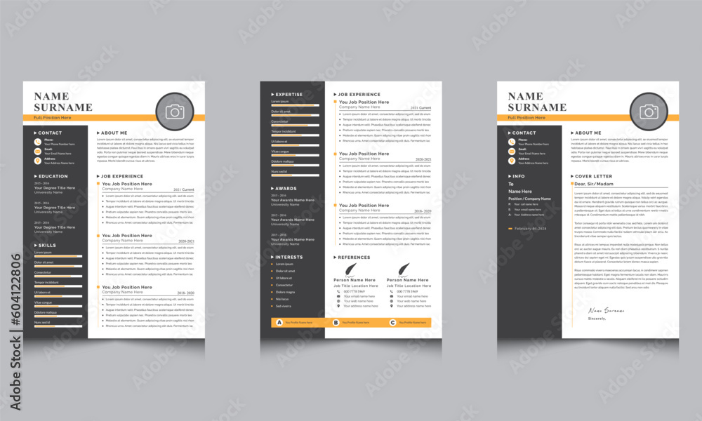 Resume Design Layout and Template Set Modern CV Design Stock Vector ...