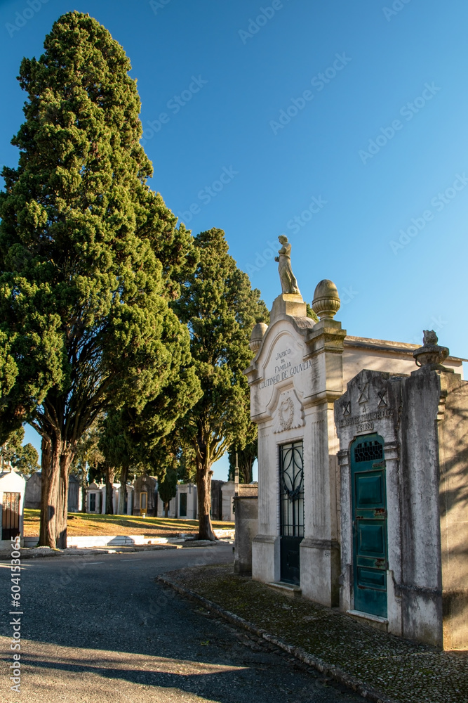 Old stone crypt, tombstones and graves in the cemetery, gravestone ...