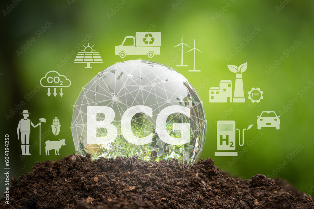 Bcg Economic Model Or Economic Model For Sustainable Development It Is