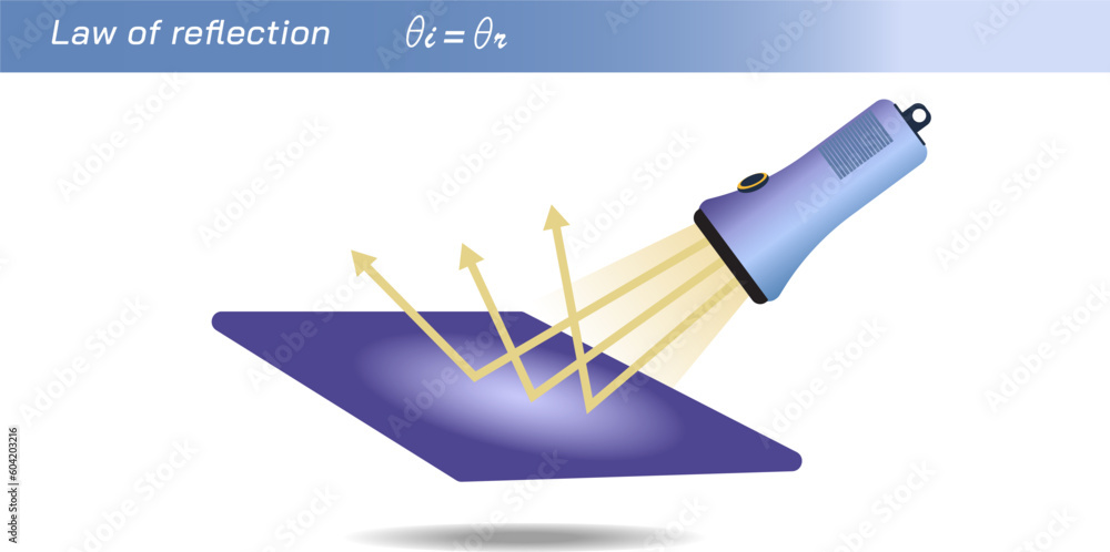 Vetor De Laws Of Reflection Angle Of Incidence And The Angle Of