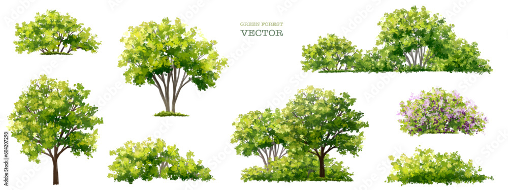 collection of trees, Vector of green grass or shrub isolated on white ...