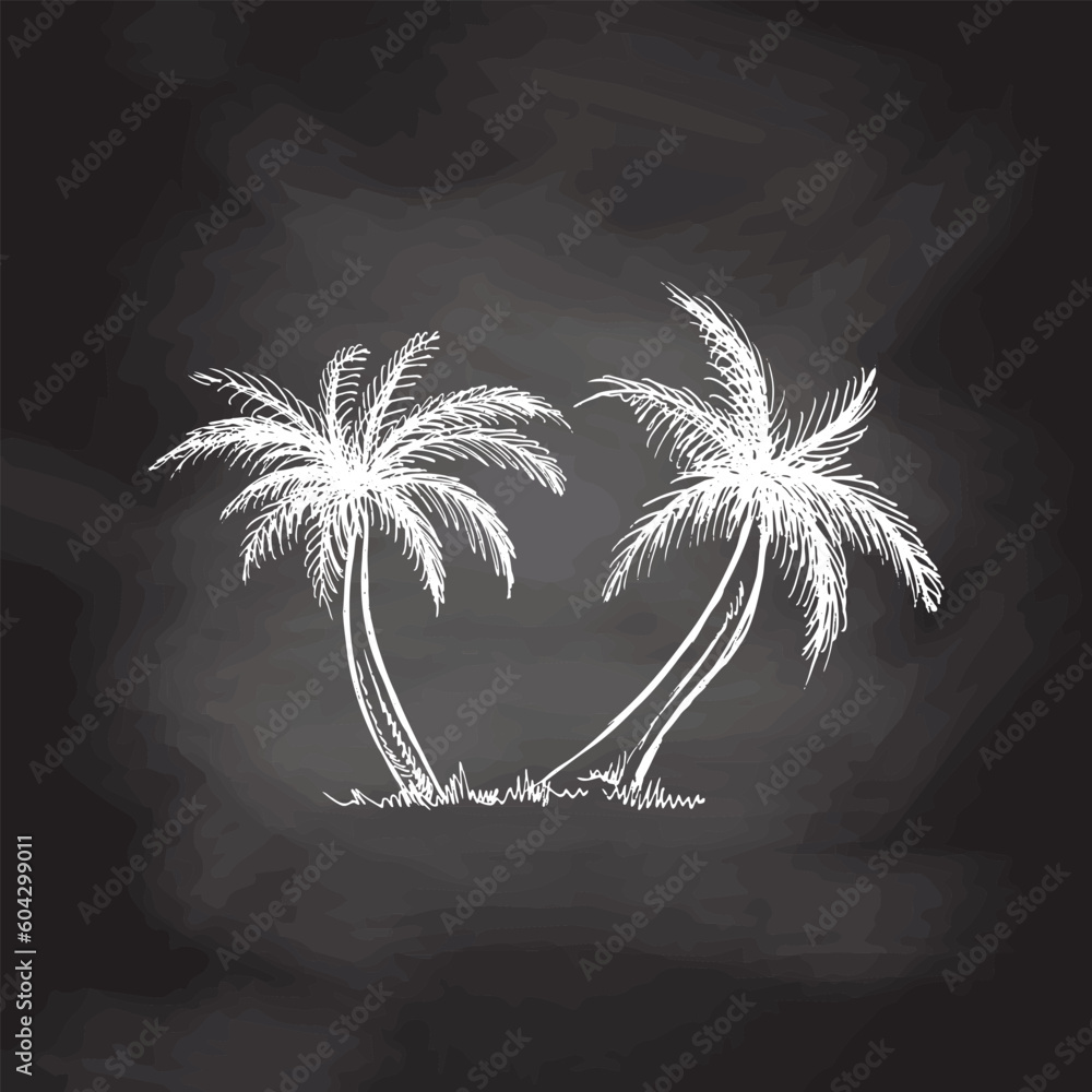 Hand drawn sketch of palm trees. Vintage vector illustration isolated ...