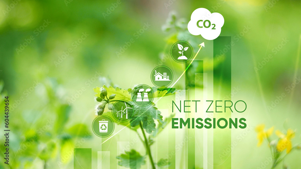 Net zero and carbon neutral concept. Net zero icons In Green Forest With Sunlight. net zero ...