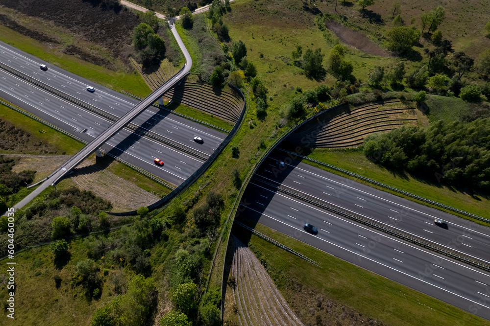 Foto de Bike bridge and wildlife crossing green corridor bridge for ...