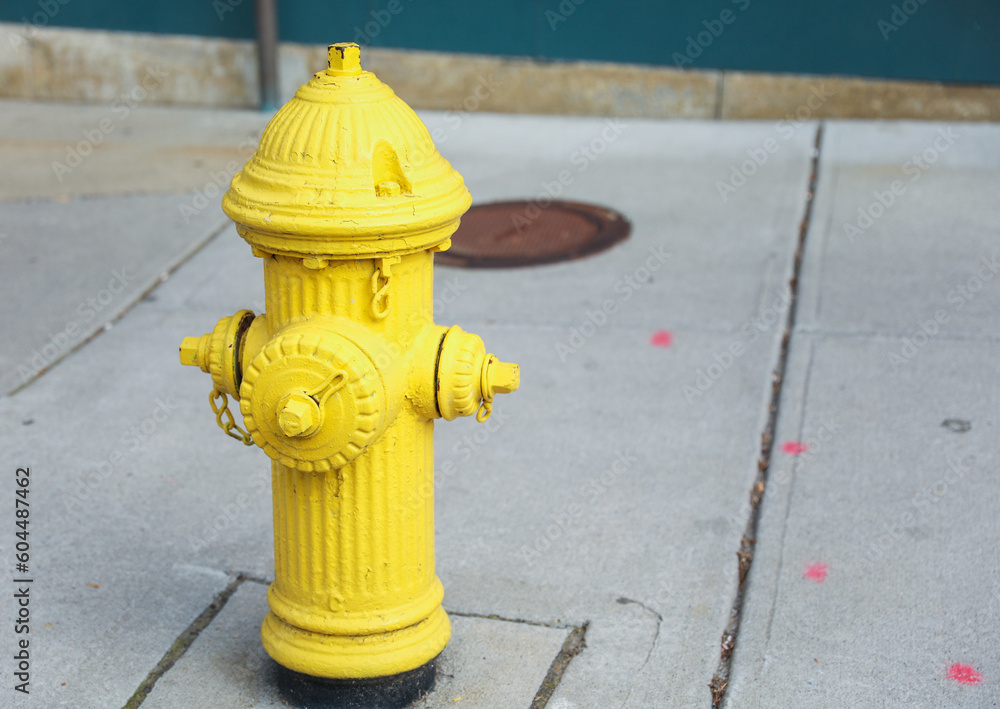 fire hydrant represents protection and the vital role of firefighters ...