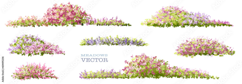 Vector of flower grass or blooming shrub isolated on white background ...