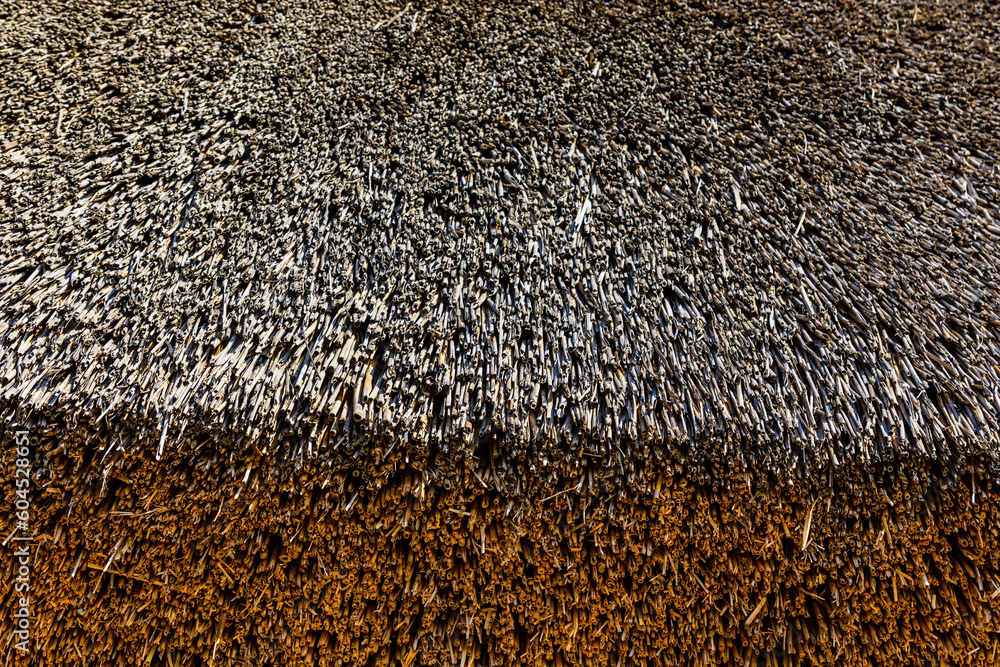 Texture of thatch roof for the background Stock Photo | Adobe Stock