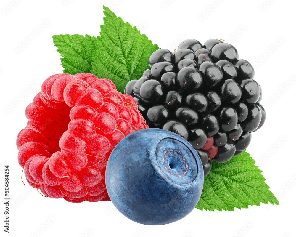 wild Berries mix, raspberry, blueberry, blackberry, isolated on white ...