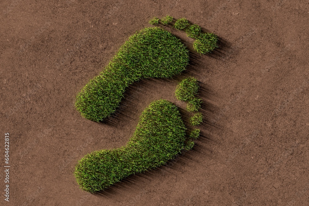 Two footprint shape symbols made from grass on brown soil background ...