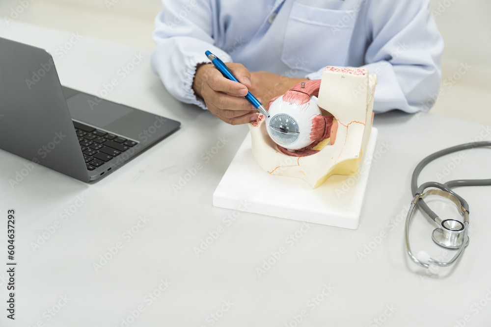 Ophthalmologist explain patient with eye anatomy model on white ...