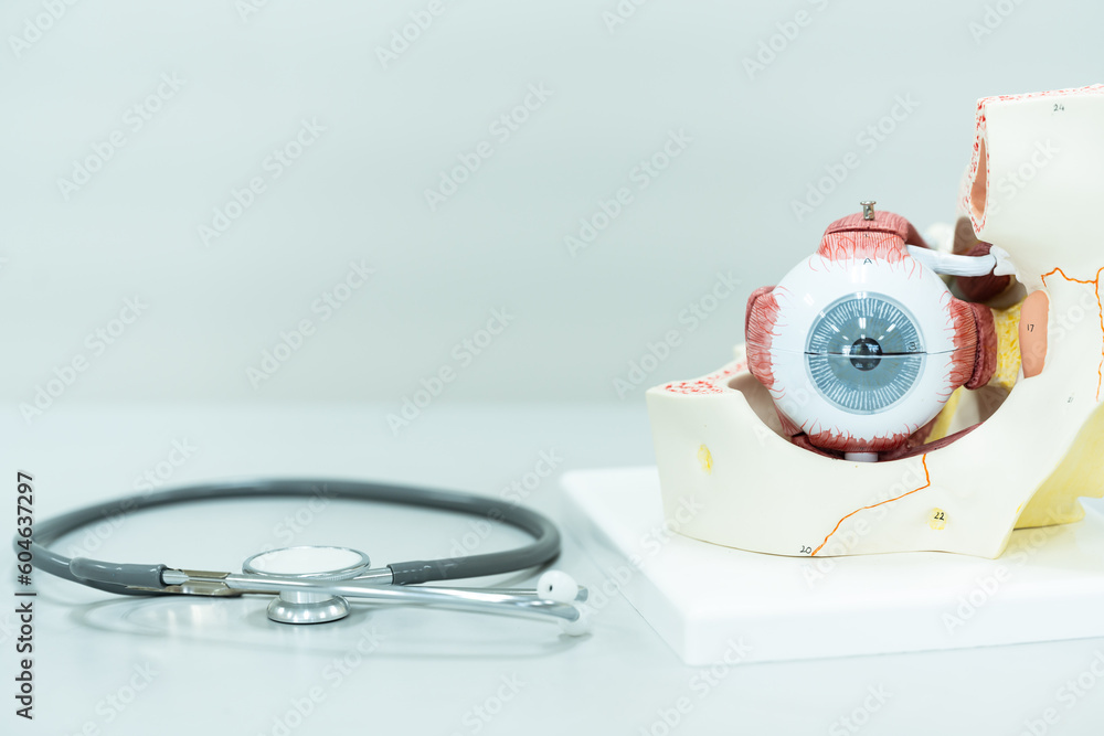Eye anatomy model and stethoscope for ophthalmologist explain patient ...