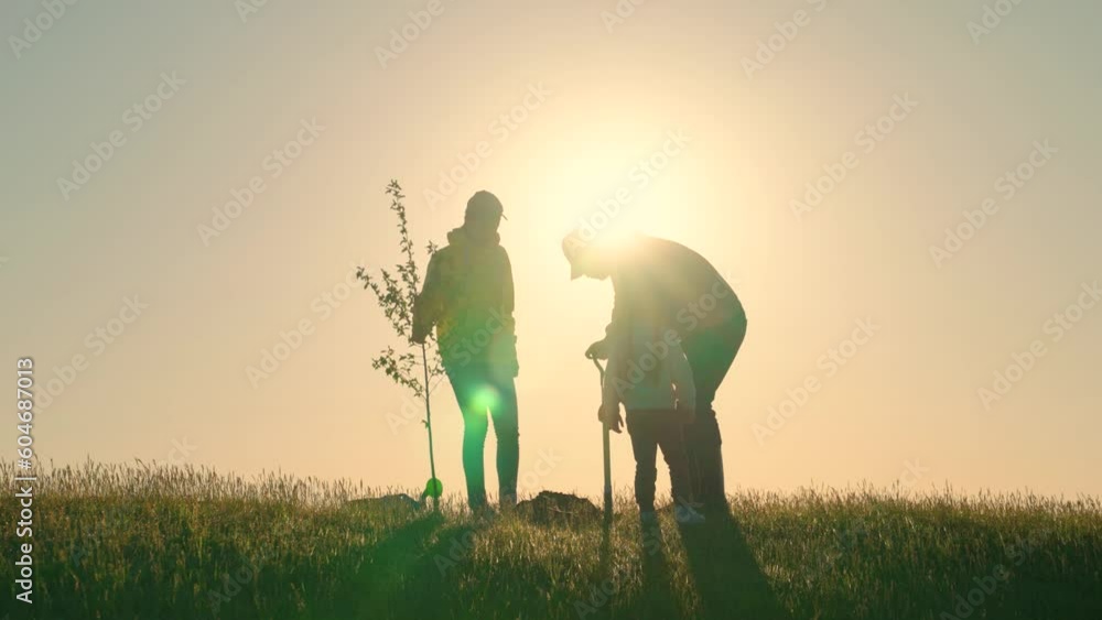 Family with shovel planting young trees, kid helps dad and mom. Dad mom ...