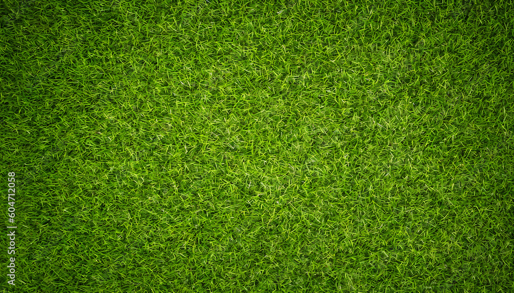 Green grass background, grass field background. Grass texture ...